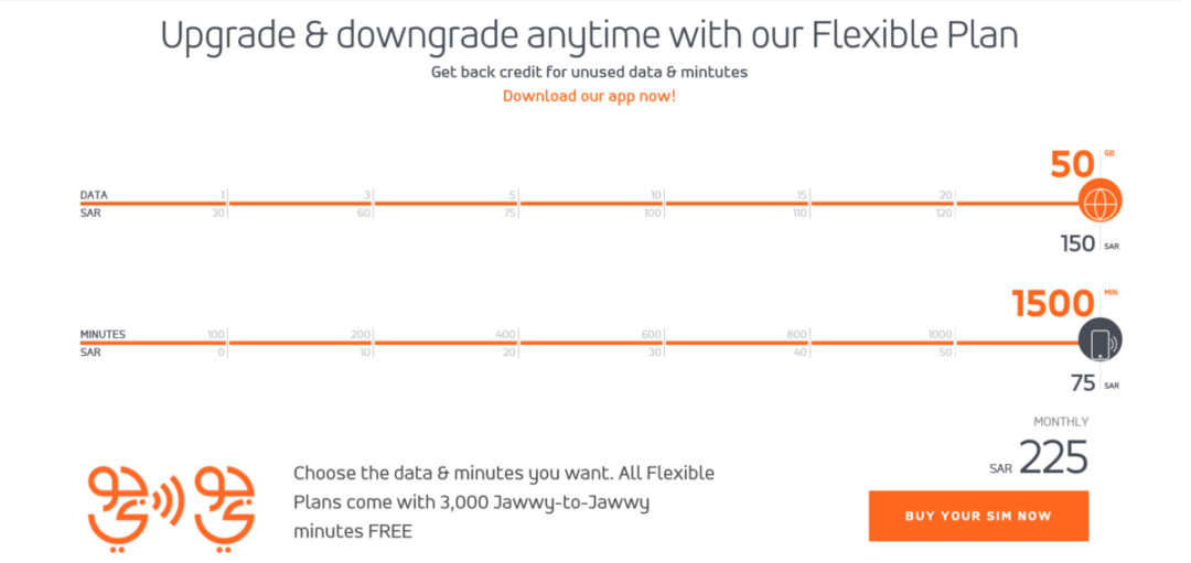 Jawwy Saudi Arabia Prepaid Plans Explored (2024) – Phone Travel Wiz