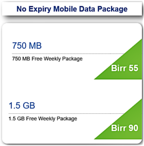 SIM Cards in Ethiopia: The Best Prepaid Plans | 2024 Guide – Phone ...